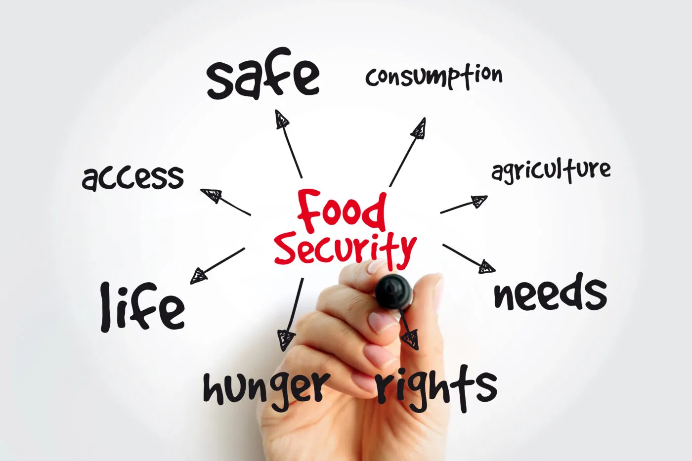 Understanding Acute Food Insecurity | Mekong Valley Foods
